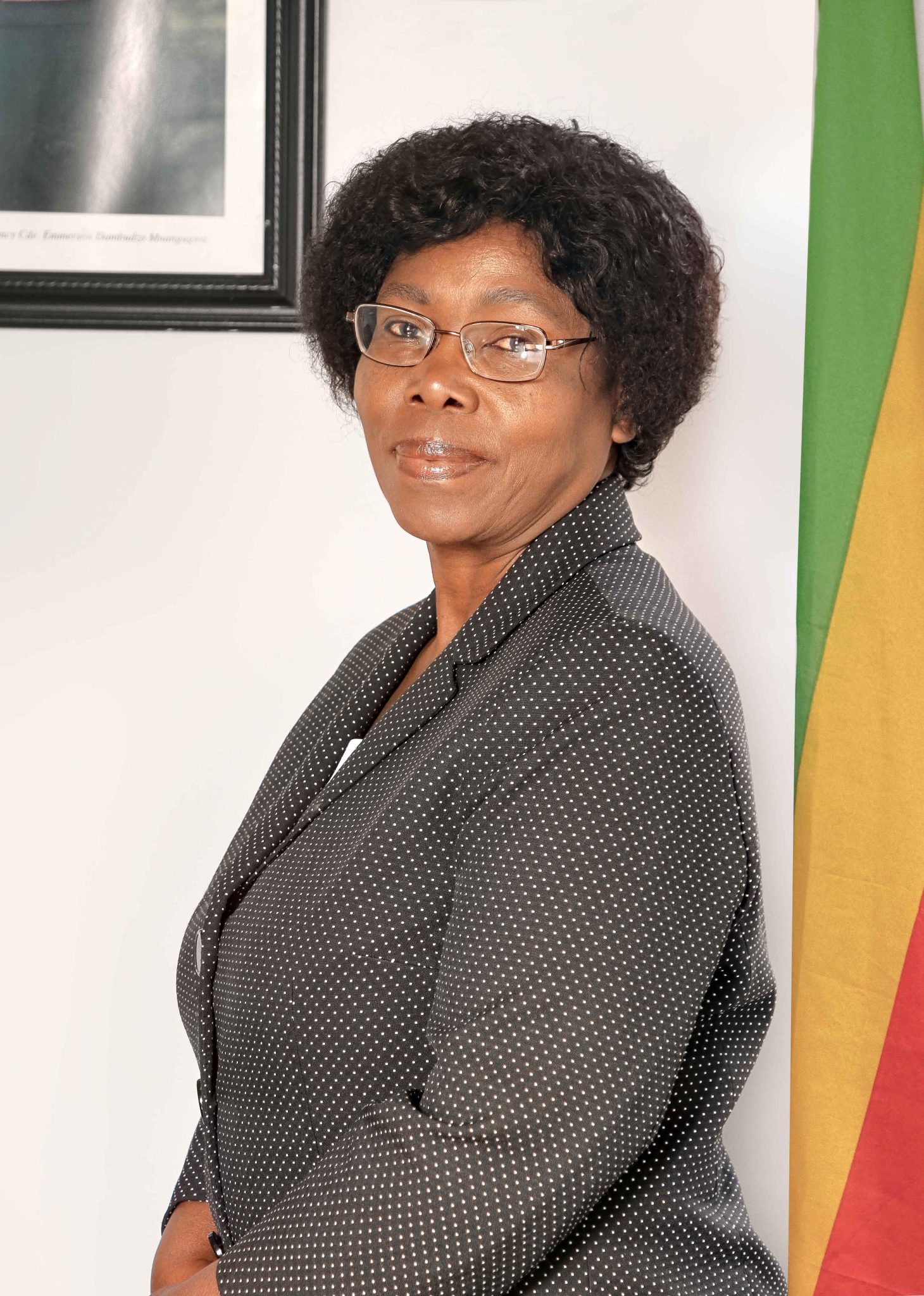 Commissioners – HSC